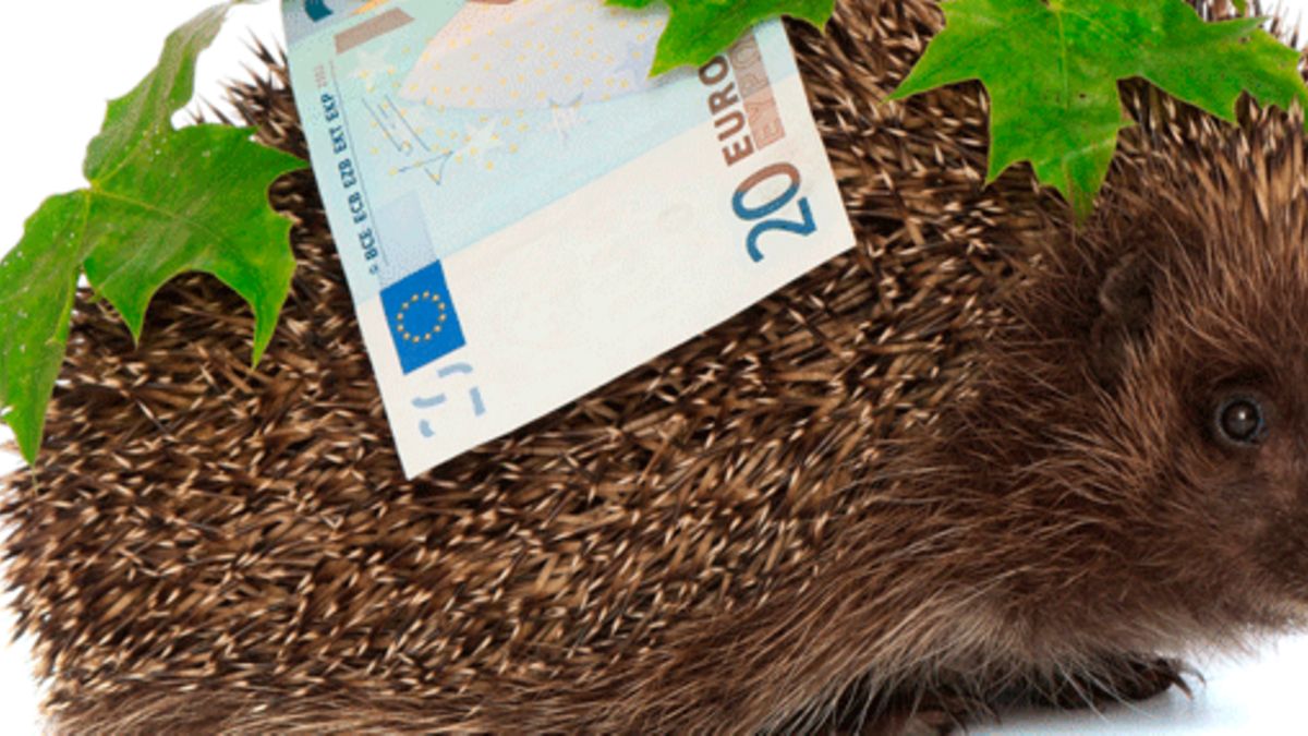 40 Euro-IGeL führt zu Anklage wegen Betrugs