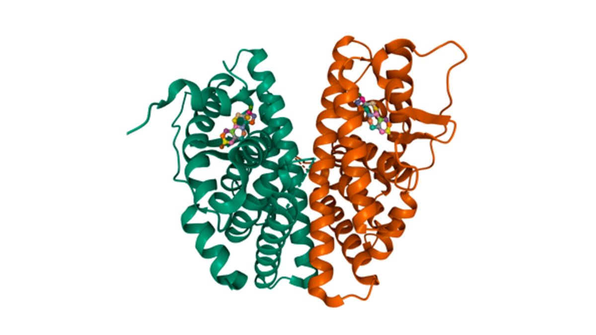 Giradestrant: Erste positive Phase-3-Studie mit einem oralen SERD in ...
