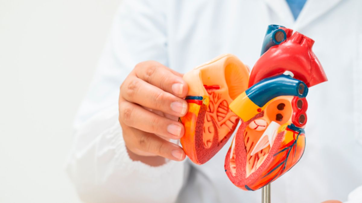 Medtronic stellt die Avalus Ultra™-Herzklappe für Westeuropa vor