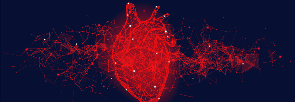 Rhein-Main Herztage 2023