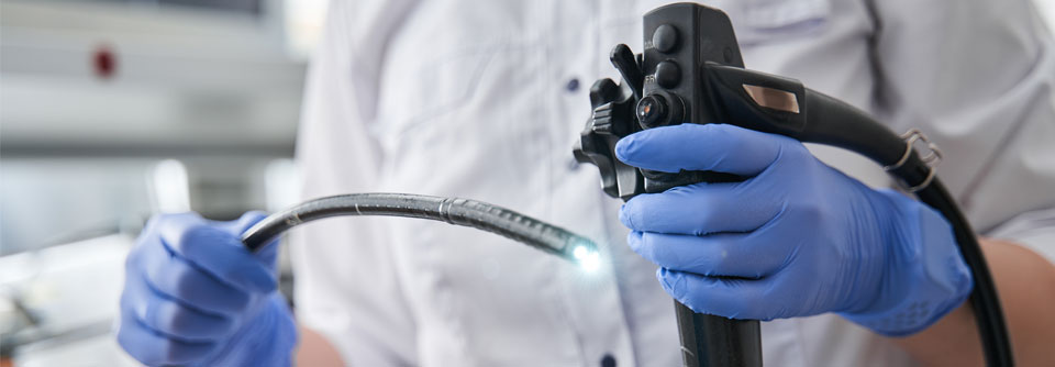 © Yakobchuk Olena – stock.adobe.com