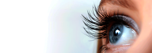 Retina-Chip bringt zentrales Sehen zurück