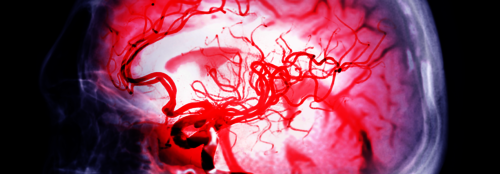 Maria dee videos this woman happens to be a former cabaret