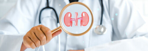 Zellinteraktionen aufgeklärt