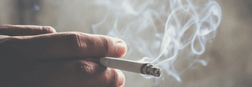 Mit Flavinoiden das Risiko von Rauchern senken