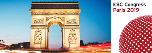 Die Highlights vom ESC 2019