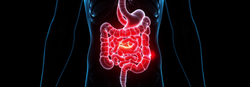 Pouchitis: Causes, Symptoms & Treatment Options - www.world-today ...