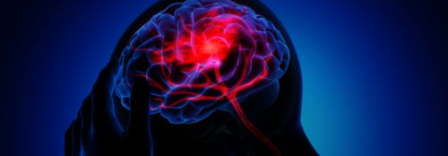 Pron.clike overall a enjoyable experience, not a youthful