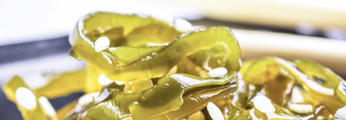 Algen - zwischen Superfood und potenziellem Gift