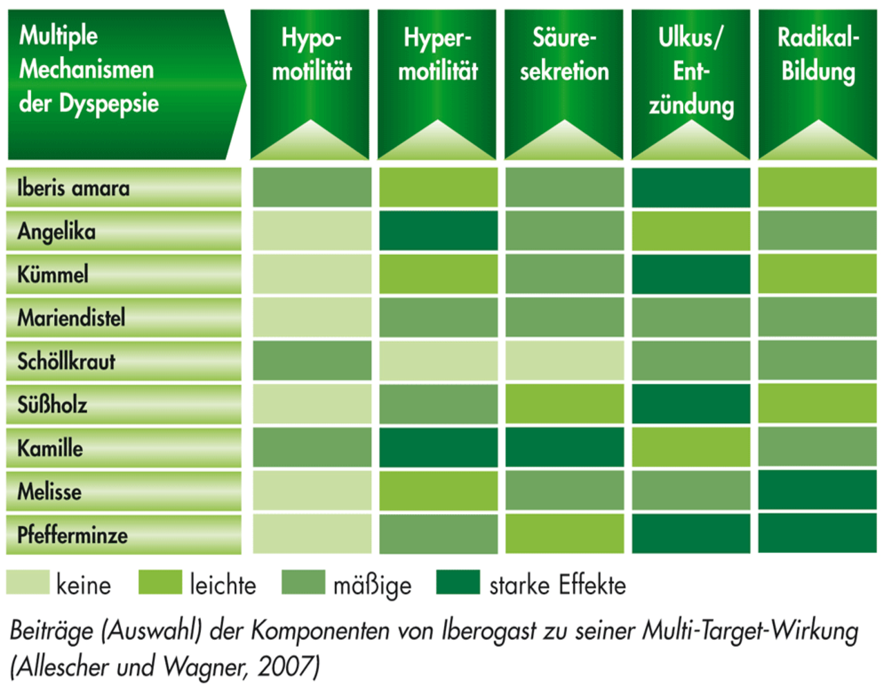 Multi-Target-Therapie verstehen