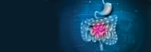 Wirkt in Magen und Darm