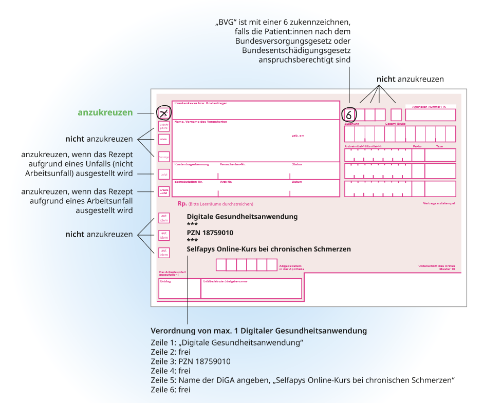 Vom Schmerz zur DiGA